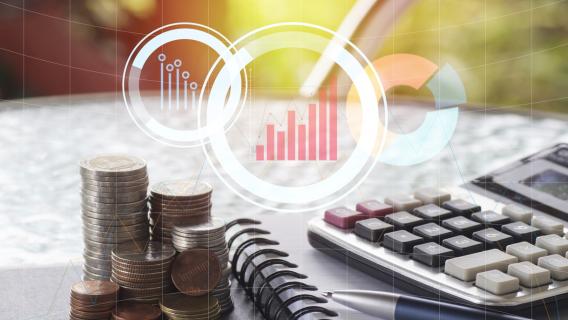 BIS 202 "Les finances des régions en 2024" | Collectivités Locales